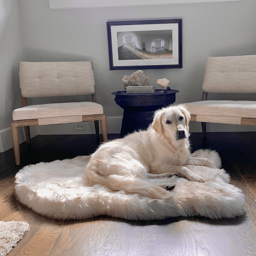 PupRug Faux Fur Orthopedic Dog Bed - Curve White with Brown Accents ...