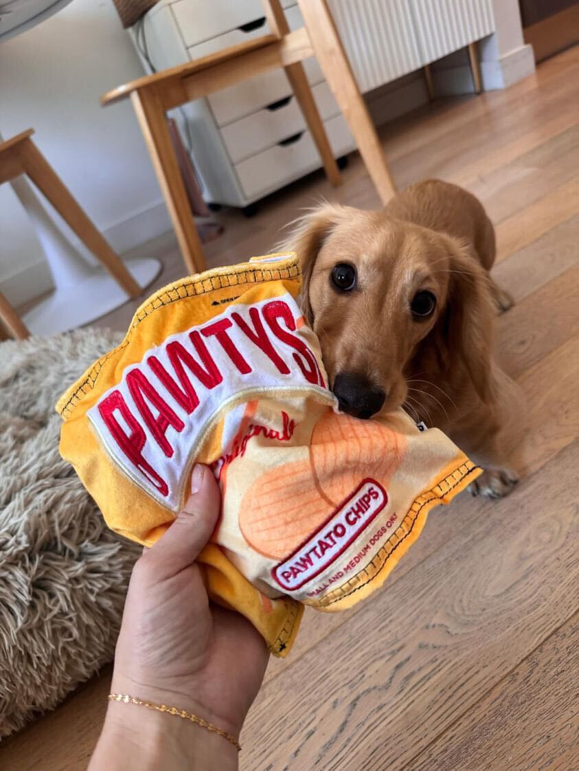PAWTATO CHIPS INTERACTIVE DOG TOY – Bessie and Barnie