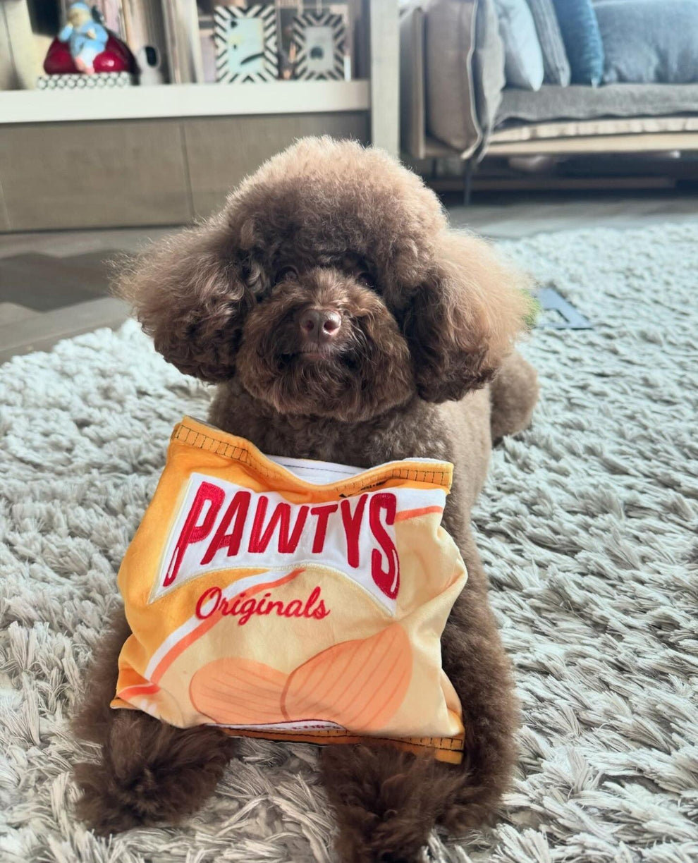 PAWTATO CHIPS INTERACTIVE DOG TOY – Bessie and Barnie